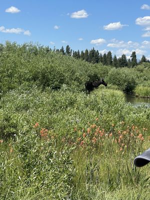 MACKS INN RIVER ADVENTURES - 14 Photos - 4169 North Hwy 20, Island Park ...