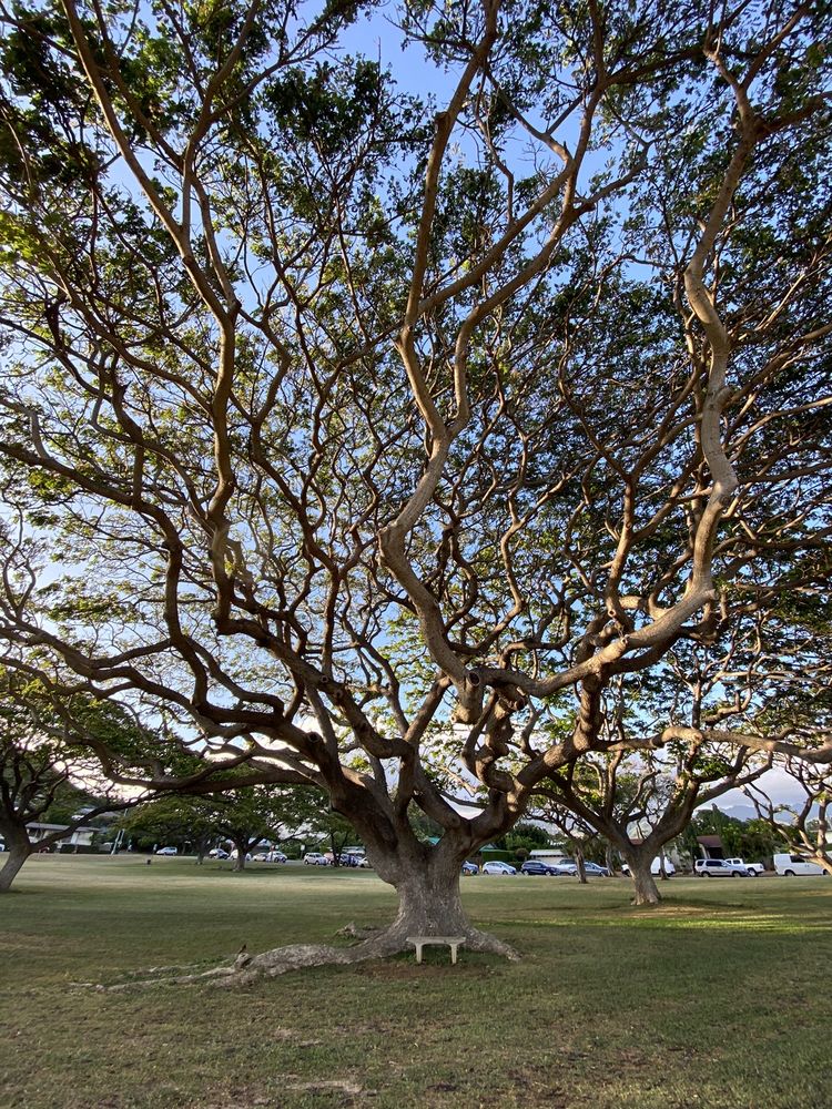 FORT RUGER MINI PARK / OPERATION RED WINGS MEDAL OF HONOR PARK - 51 ...