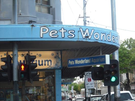 PETS WONDERLAND - Updated October 2025 - 182 Chapel St, Prahran ...
