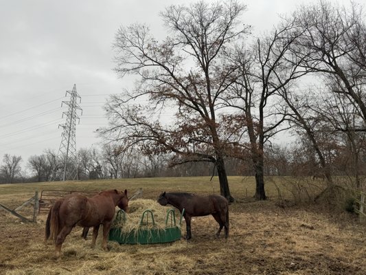 SUSON PARK - Updated November 2025 - 159 Photos & 45 Reviews - 6059 ...