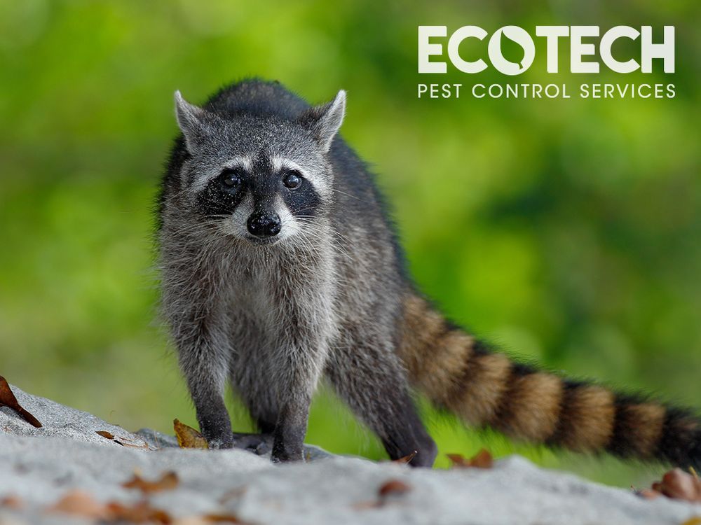 ECOTECH PEST CONTROL SERVICES - Updated August 2025 - 5331 Primrose ...