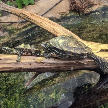 Mississippi Museum of Natural Science - 129 Photos & 27 Reviews ...