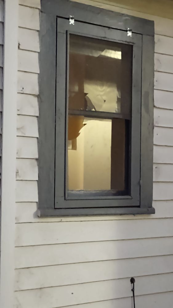 TRACKTOWN GLASS - Updated November 2025 - 12 Photos & 15 Reviews ...