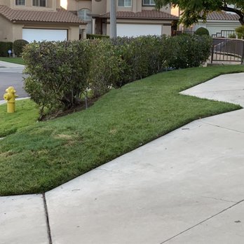 FELIX LANDSCAPING - Updated October 2025 - 31 Photos & 16 Reviews ...