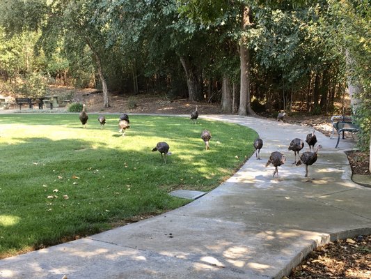 ALCOSTA SENIOR AND COMMUNITY CENTER - Updated June 2024 - 22 Photos ...