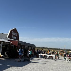 PUMPKIN’S GALORE - Updated March 2025 - 33 Photos & 14 Reviews - 26415 ...