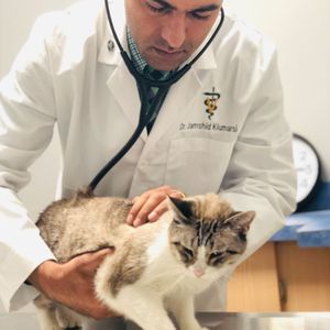 SLATON VETERINARY HOSPITAL - Updated December 2025 - 102 Photos & 191 ...