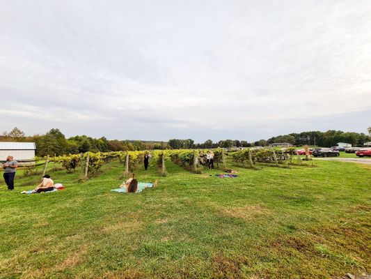 DEJON VINEYARDS - Updated October 2024 - 52 Photos & 51 Reviews - 5300 ...