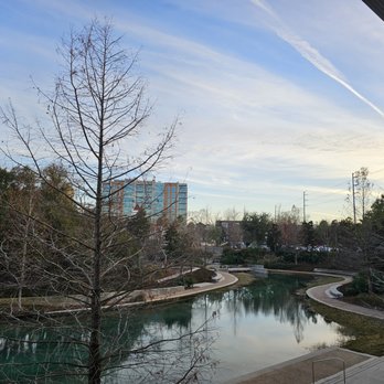 FLORA - Updated June 2024 - 500 Photos & 316 Reviews - 3422 Allen Pkwy ...