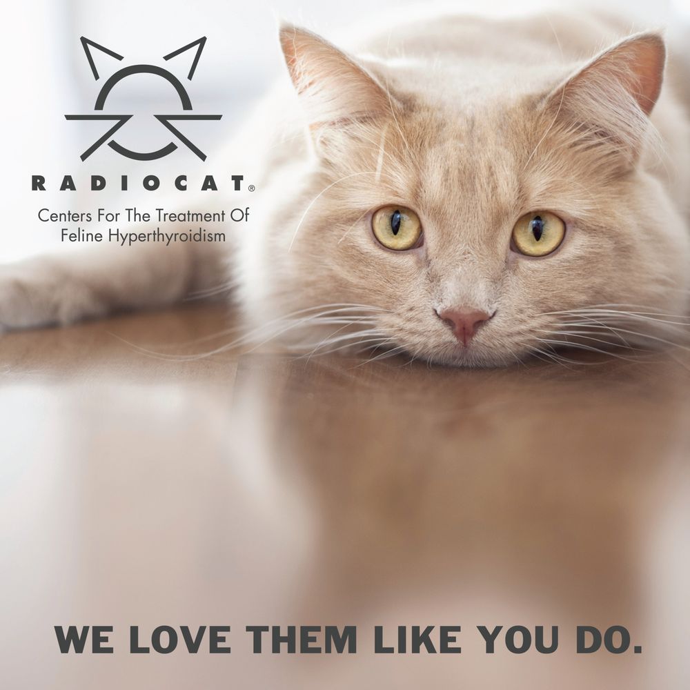 RADIOCAT ARIZONA - Updated September 2025 - 4015 E Cactus Rd, Phoenix ...