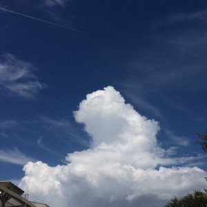 PALM BEACH STATE COLLEGE - Updated November 2025 - 31 Reviews - 3000 ...