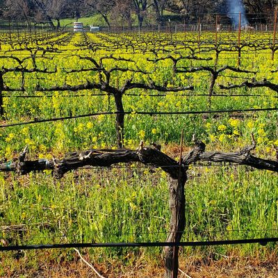 RUSTRIDGE RANCH BED & BREAKFAST - Updated October 2025 - 17 Photos ...