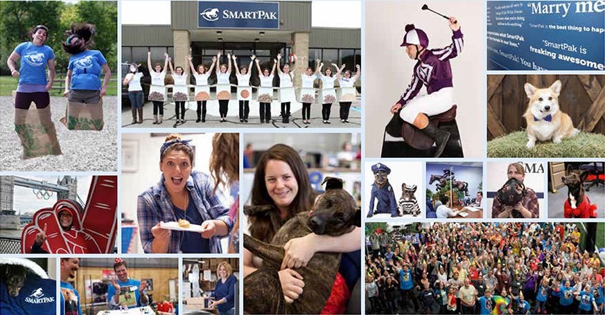 SMARTPAK EQUINE - Updated September 2025 - 15 Photos & 28 Reviews - 40 ...