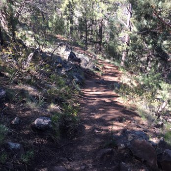 SHOW LOW BLUFF HIKING TRAIL - Updated October 2025 - 62 Photos - 769 S ...