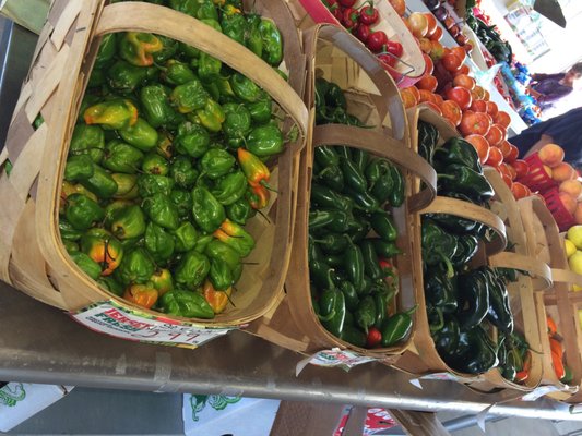 STELLA FARMS - Updated November 2025 - 20 Photos & 35 Reviews - 459 New ...