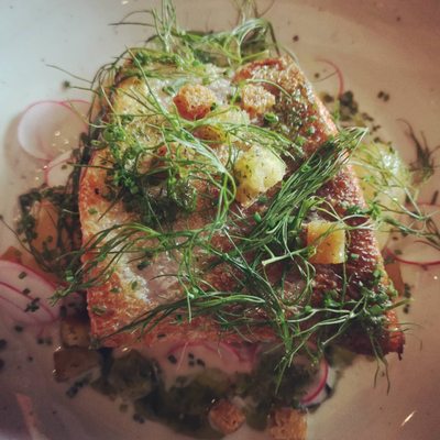 KNUT RESTAURANG & BAR AB - 61 Photos & 59 Reviews - Upplandsgatan 17 ...