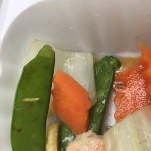 TONG SING CHINESE RESTAURANT - 14 Photos & 22 Reviews - 126 Northampton ...