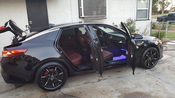 HADDAD KIA - Updated October 2025 - 45 Photos & 165 Reviews - 5445 ...