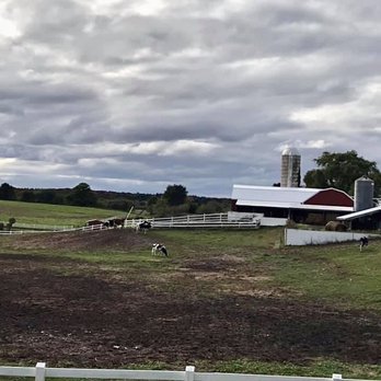 MOOMERS - Updated May 2025 - 328 Photos & 369 Reviews - 7263 N Long ...