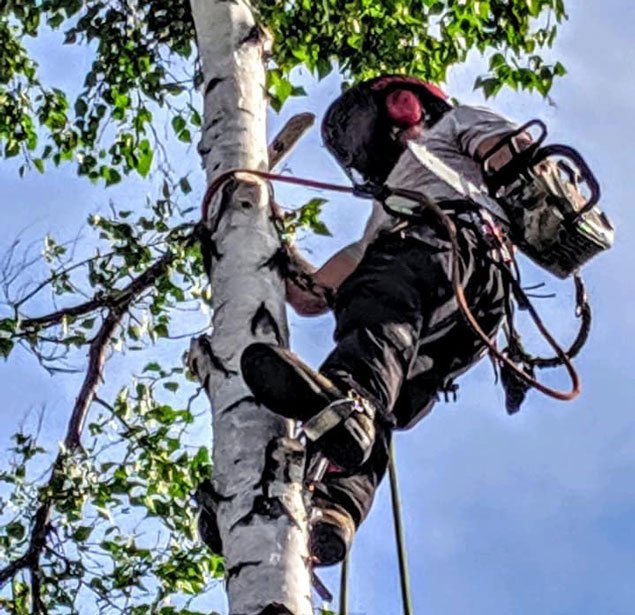 TOP NOTCH TREE REMOVAL - Updated January 2025 - 10 Photos - North Pole ...