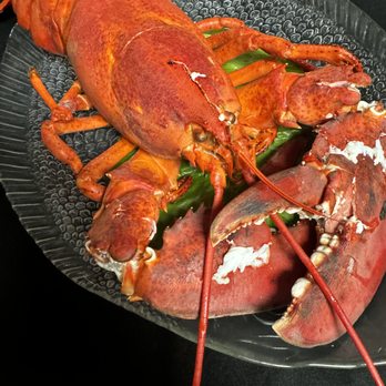 CAPTAIN’S CATCH SEAFOOD RESTAURANT - Updated March 2025 - 98 Photos ...