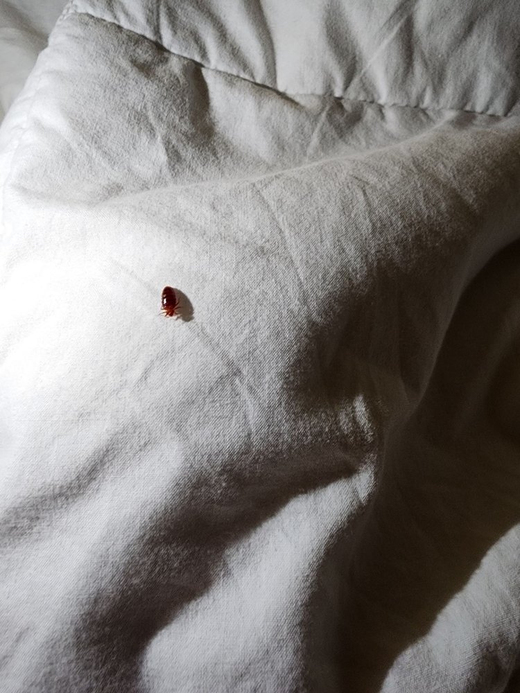 RED LION HOTEL KELSO LONGVIEW - Updated December 2025 - 217 Photos ...