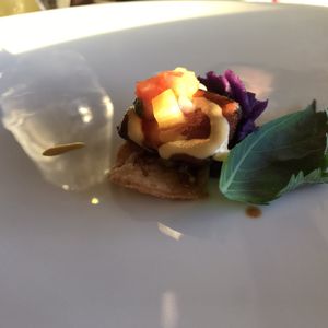 Pacific Club - 245 Photos & 65 Reviews - Social Clubs - 1451 Queen Emma ...