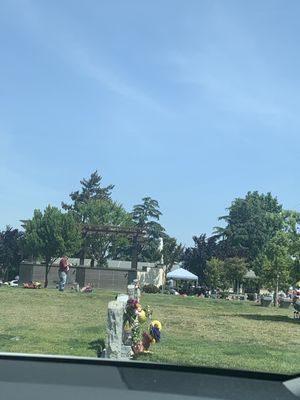 St Peters Cemetery - Updated May 2026 - 22 Photos & 26 Reviews - 264 N ...