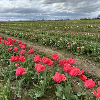 DUTCH HOLLOW FARMS - Updated December 2025 - 238 Photos & 115 Reviews ...