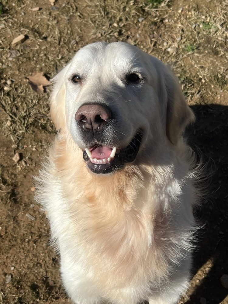DOUBLETREE VETERINARY CLINIC - Updated July 2025 - 14 Reviews - 2606 ...