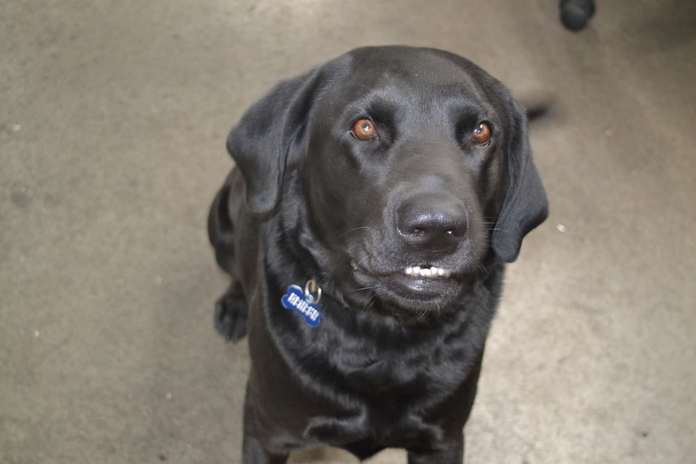 ADVANCED DIESEL PERFORMANCE - Updated July 2025 - 5901 Wilshire Ave NE ...