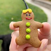 THE GINGERBREAD FACTORY - 762 Photos & 428 Reviews - 829 Front St ...