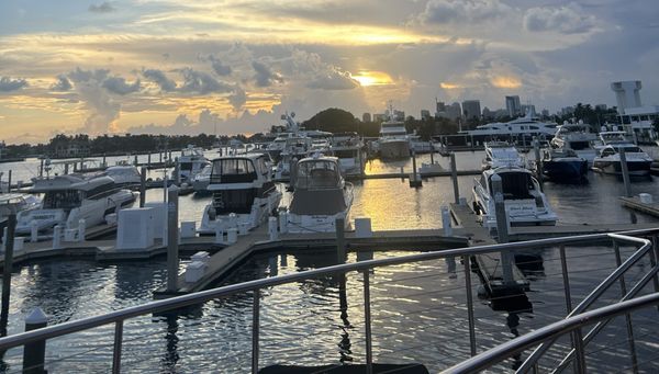 THE SHORELY - Updated November 2024 - 26 Photos - 849 Seabreeze Blvd ...