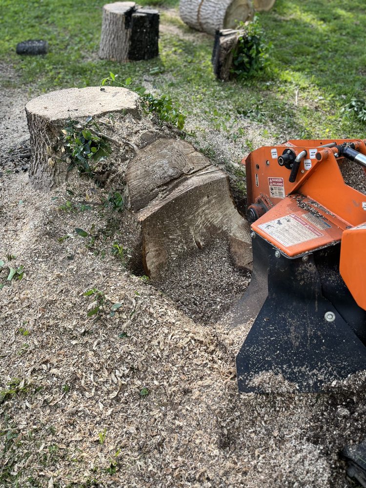 CHASE’ N STUMPS - Updated April 2025 - Request a Quote - Springfield ...