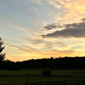 RIVERVIEW ESTATE BY BROPHY - Updated June 2025 - 72 Photos - 1650 ...