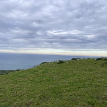 TOMALES POINT TRAIL - TULE ELK PRESERVE - Updated December 2025 - 948 ...