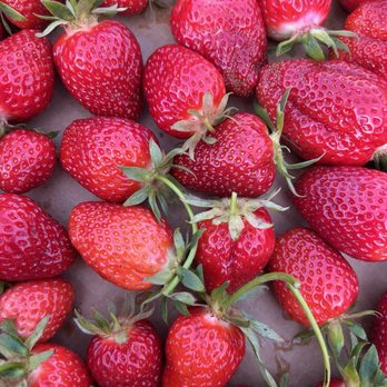 CAVANNA’S FARM - Updated October 2025 - 44 Photos & 18 Reviews - 80 ...