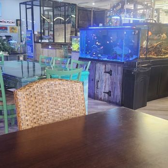 FLOATING SEA AQUATICS - Updated November 2025 - 290 Photos & 63 Reviews ...