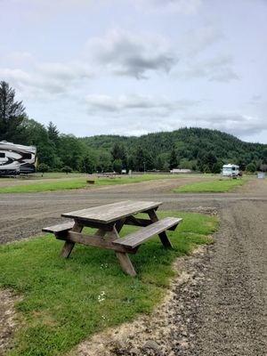 TILLAMOOK ELKS LODGE RV PARK - Updated September 2024 - 9105 US 101 S ...