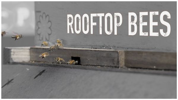 REDWOOD CITY PUBLIC LIBRARY - DOWNTOWN LIBRARY - Updated November 2025 ...