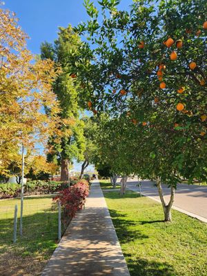 AGRITOPIA - 94 Photos & 35 Reviews - 3000 E Ray Rd, Gilbert, Arizona ...