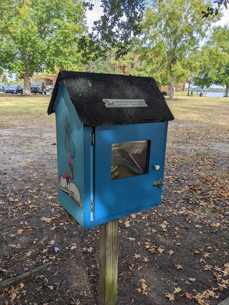 LITTLE FREE LIBRARY - Updated December 2025 - 201 E Front St, New Bern ...