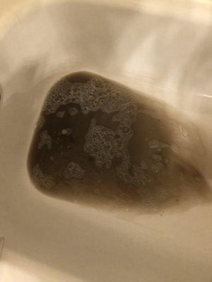 ZERO RESIDUE CARPET CLEANING - Updated October 2025 - 26 Reviews - Las ...