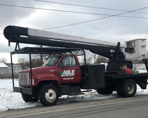 ABLE TREE SERVICE - Updated October 2025 - 25 Photos - 4603 E Apple Ave ...