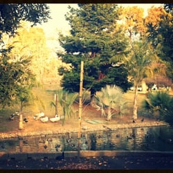 UNION CITY LIBRARY - 44 Photos & 78 Reviews - 34007 Alvarado Niles Rd ...