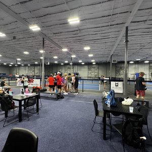 ELITE PICKLEBALL CLUB - Updated July 2025 - 16 Photos & 12 Reviews ...