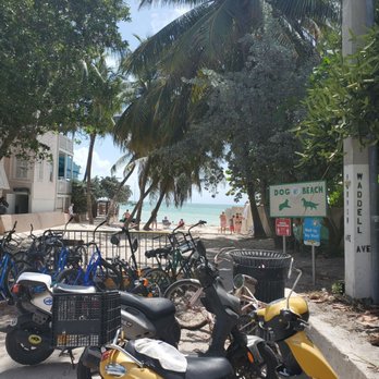 KEY WEST DOG BEACH - Updated December 2025 - 38 Photos & 26 Reviews ...