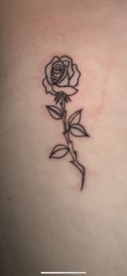 WHY NOT INK TATTOO - 230 Photos & 255 Reviews - 15424 Chatsworth St ...