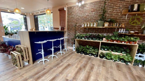 THE MELLOW SF - 95 Photos & 37 Reviews - 1401 Haight St, San Francisco ...