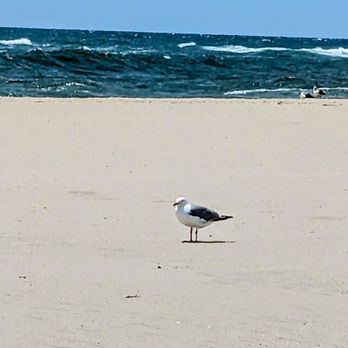 COOPER’S BEACH - Updated October 2025 - 157 Photos & 99 Reviews - 268 ...